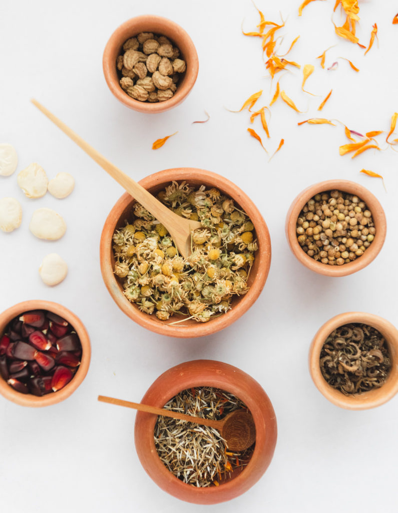 Choosing Seed Varieties - GROWING WITH GERTIE