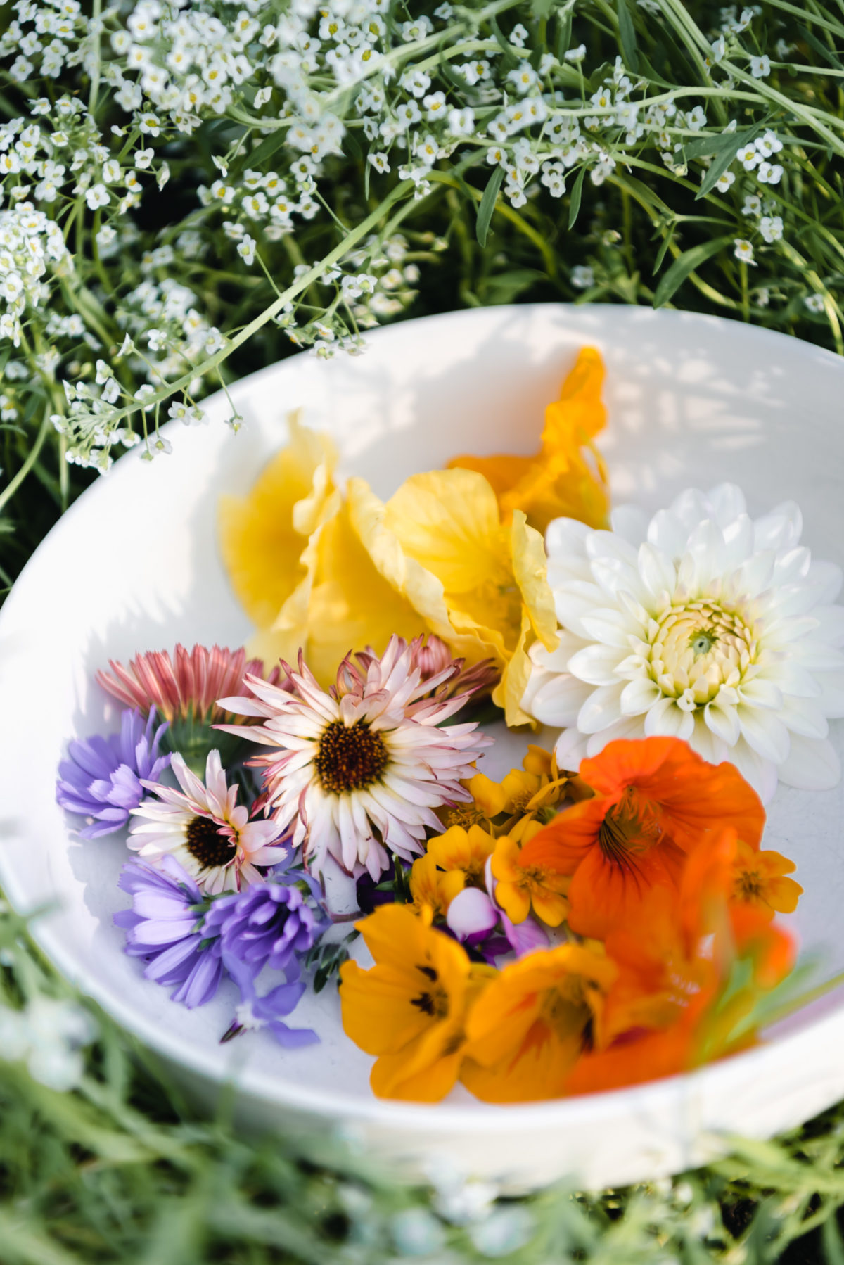 Edible Flower Ice Cubes - GROWING WITH GERTIE