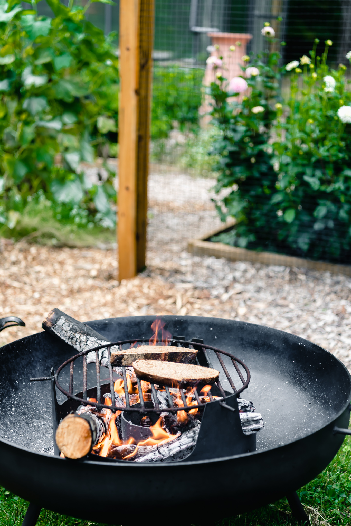 Fire Roasted Tomatoes on Toast - GROWING WITH GERTIE