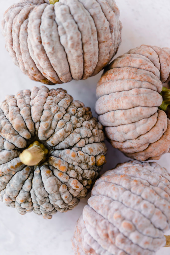 Roasted Black Futsu Squash with Salsa Verde and Lentils - GROWING WITH ...