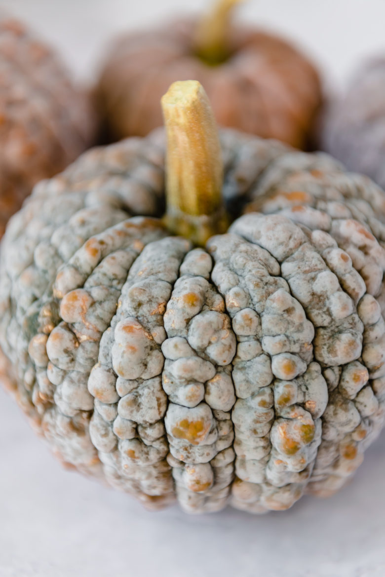 Roasted Black Futsu Squash with Salsa Verde and Lentils - GROWING WITH ...