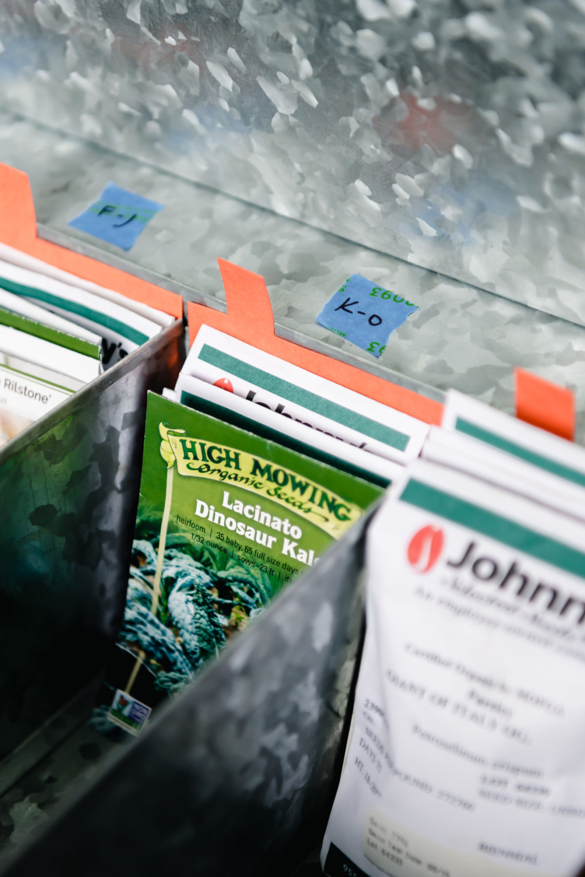 Garden Seed Storage & Organization Tips - GROWING WITH GERTIE