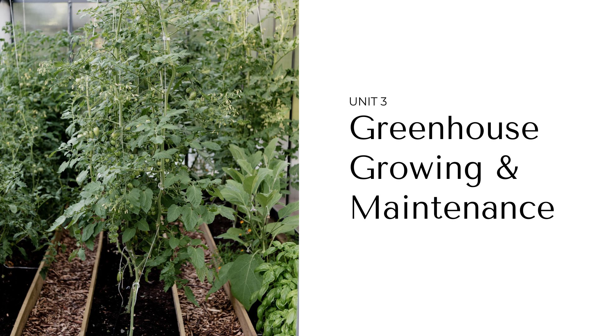 Greenhouse Course - GROWING WITH GERTIE